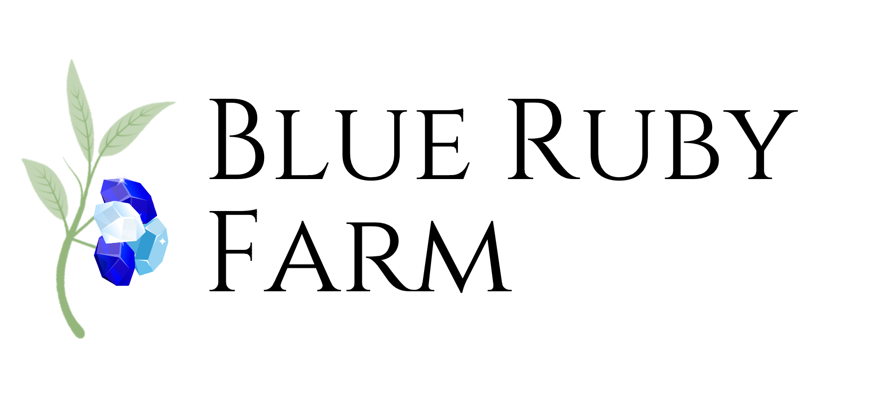 Order Now – We are growing the 2024 crop – Blue Ruby Farm