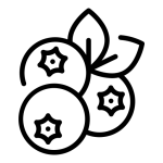 Blue Ruby Farm – Blueberry Farm in Pitt Meadows